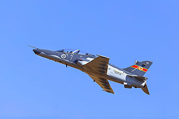 “Jet fighter” bird sets record for longest nonstop flight