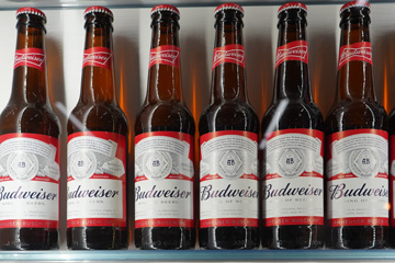 Hamilton Caster Blog