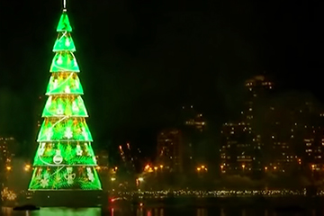 These giant Christmas trees are LIT