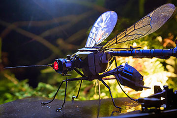 Five science developments to watch for in 2024